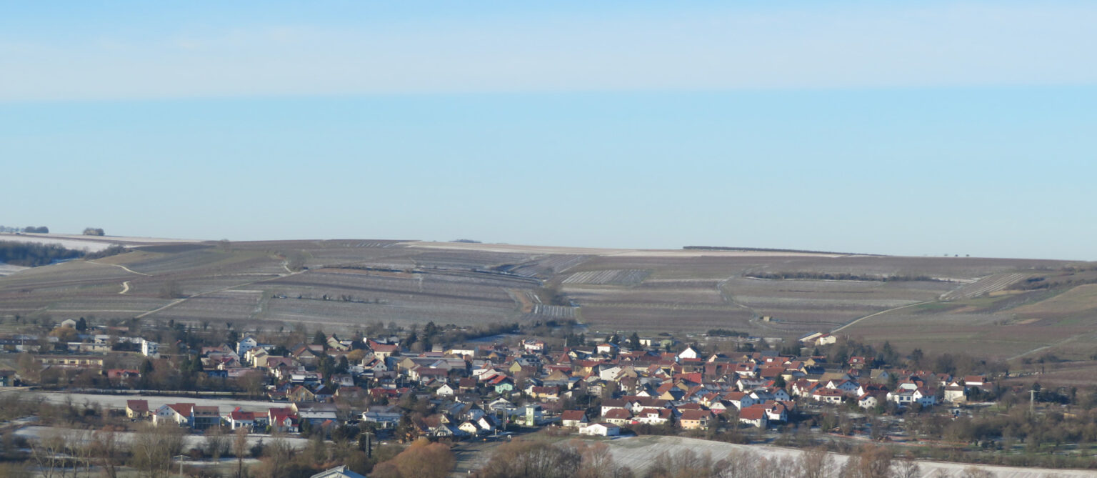 Bubenheim – Weedies Soundtrain