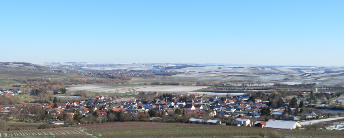 Bubenheim – Weedies Soundtrain